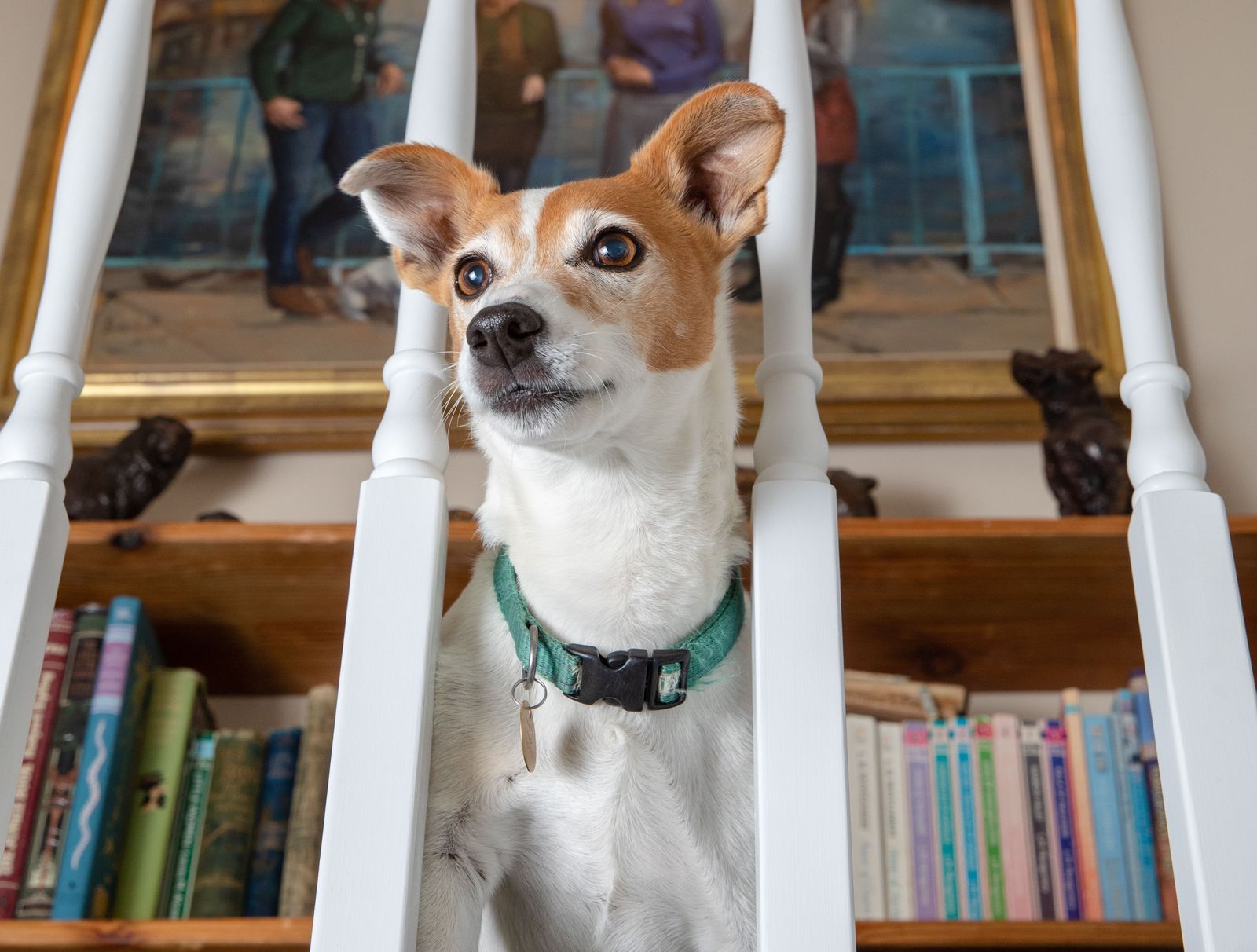 The 10 most famous dog-and-owner combinations in history, from ...