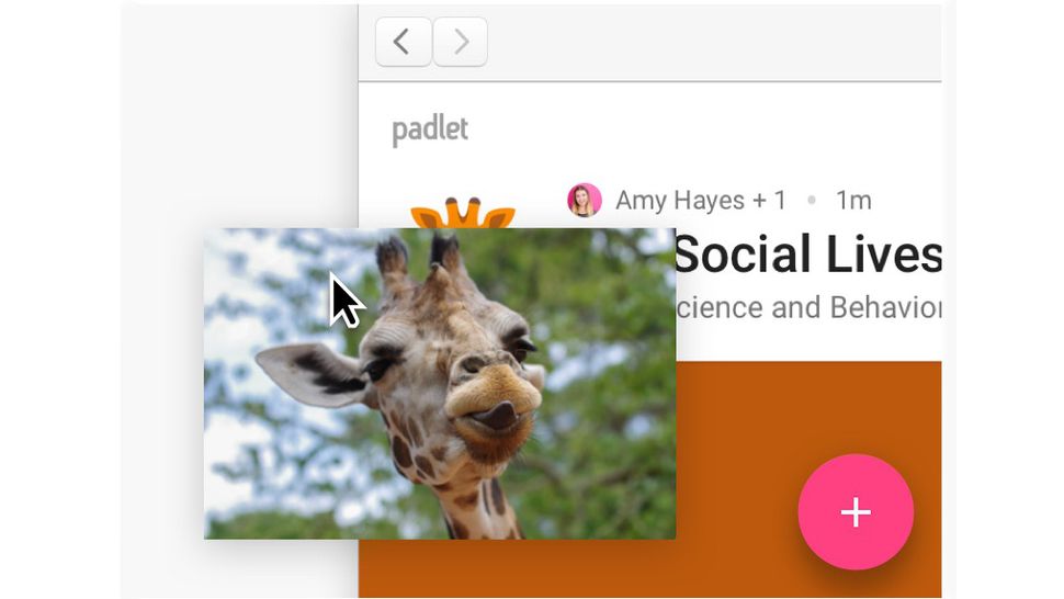 Flip vs Padlet: What is the best video tool for your class | Tech ...