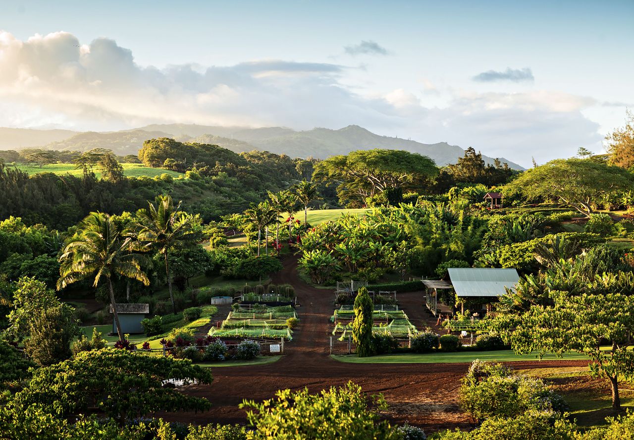 Sustainable Communities Around the World | Marie Claire