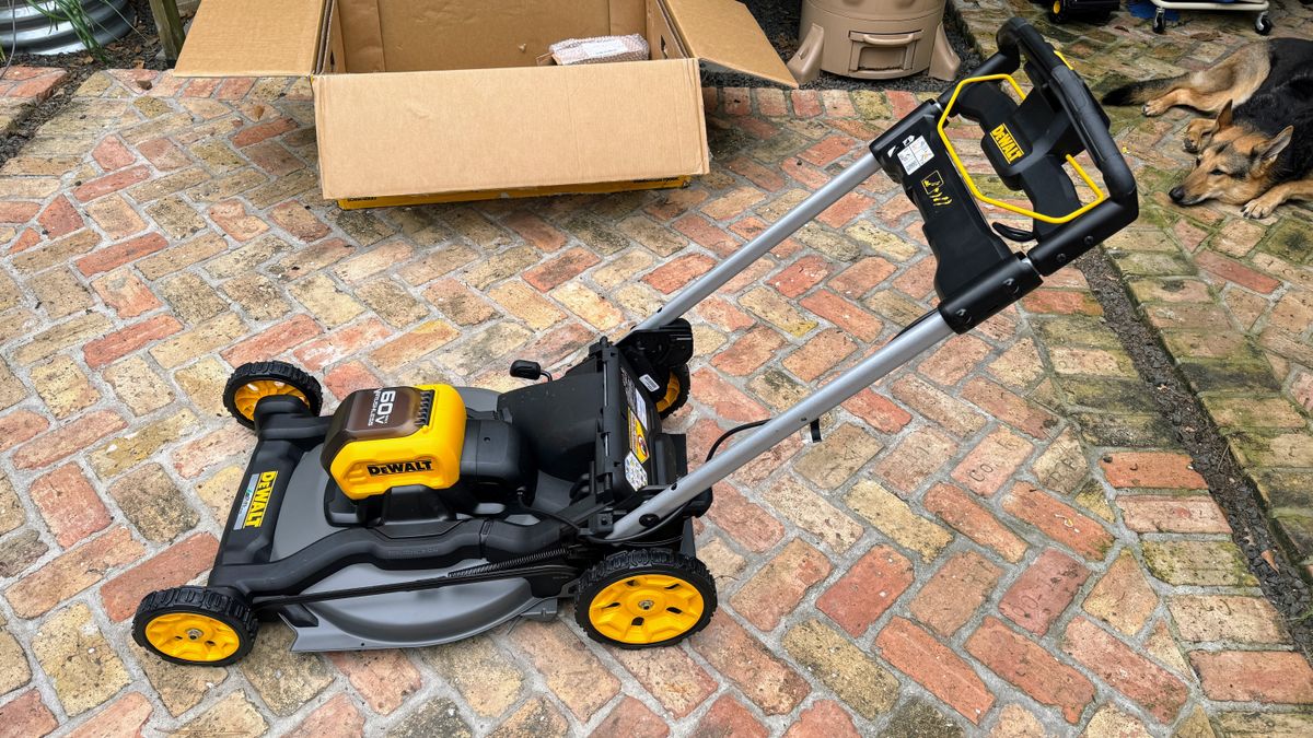 Dewalt DCMWP600X2 60V MAX Cordless Push Mower review | Top Ten Reviews