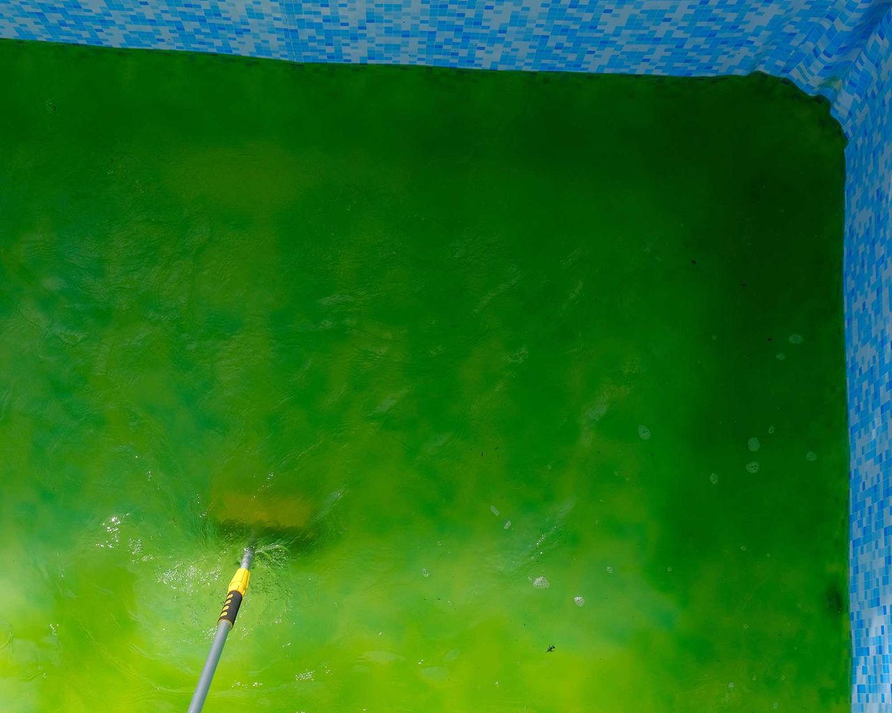 How to get rid of algae in a pool: tackle that green growth | Gardeningetc