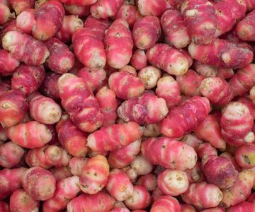A guide to how to grow oca in your backyard vegetable garden | Homes ...