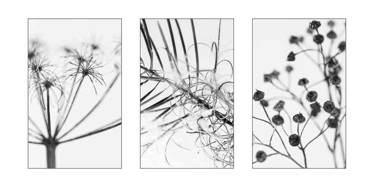 Home photography ideas: How to shoot a triptych worthy of your wall ...