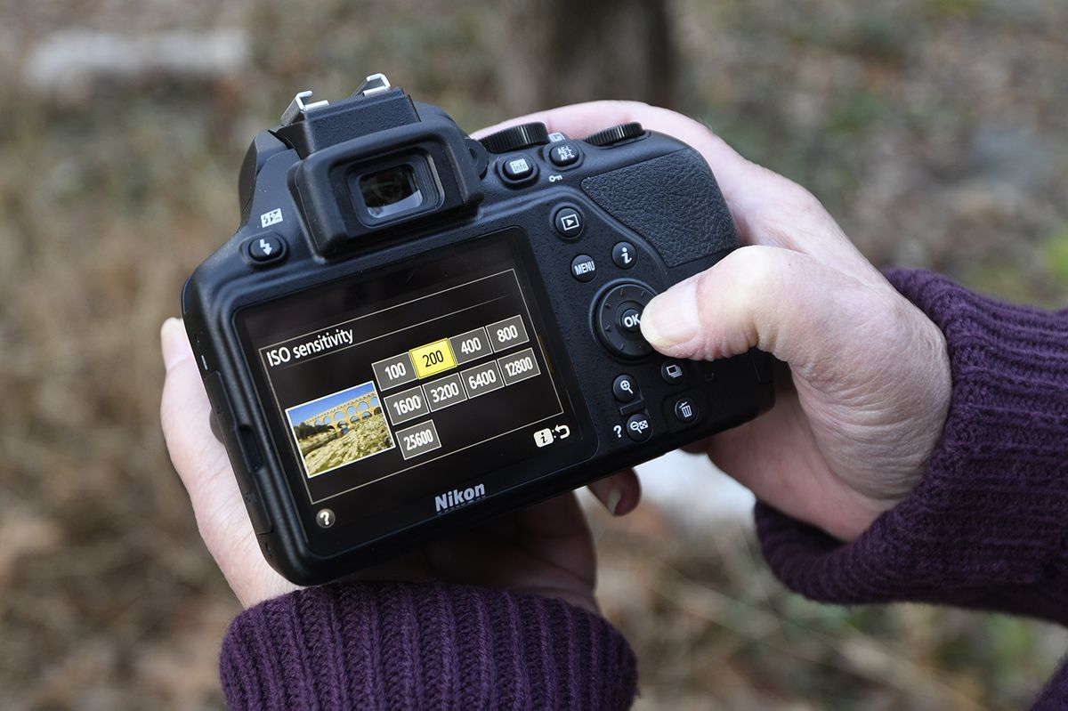 Nikon D3500 Review: Best DSLR for Beginners | Tom's Guide