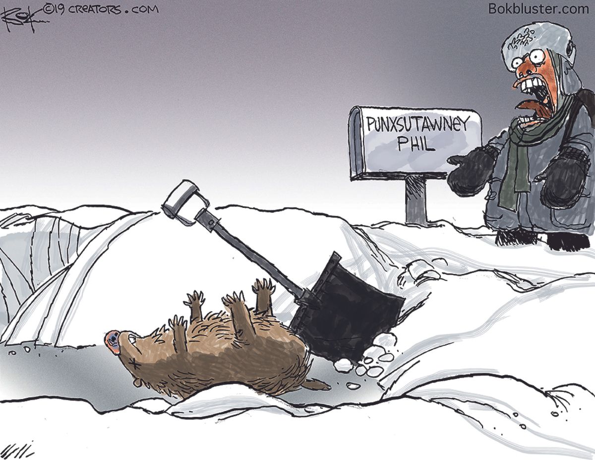 Editorial Cartoon U.S. groundhog day Punxsutawney Phil polar vortex ...