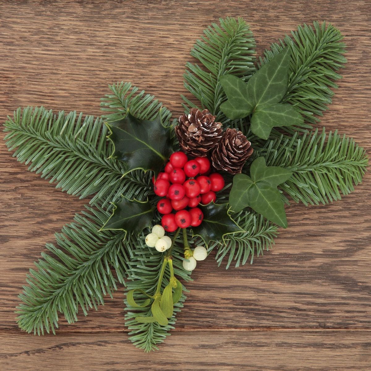 Greenery Décor Ideas - How To Use Evergreen Plants Indoors | Gardening ...