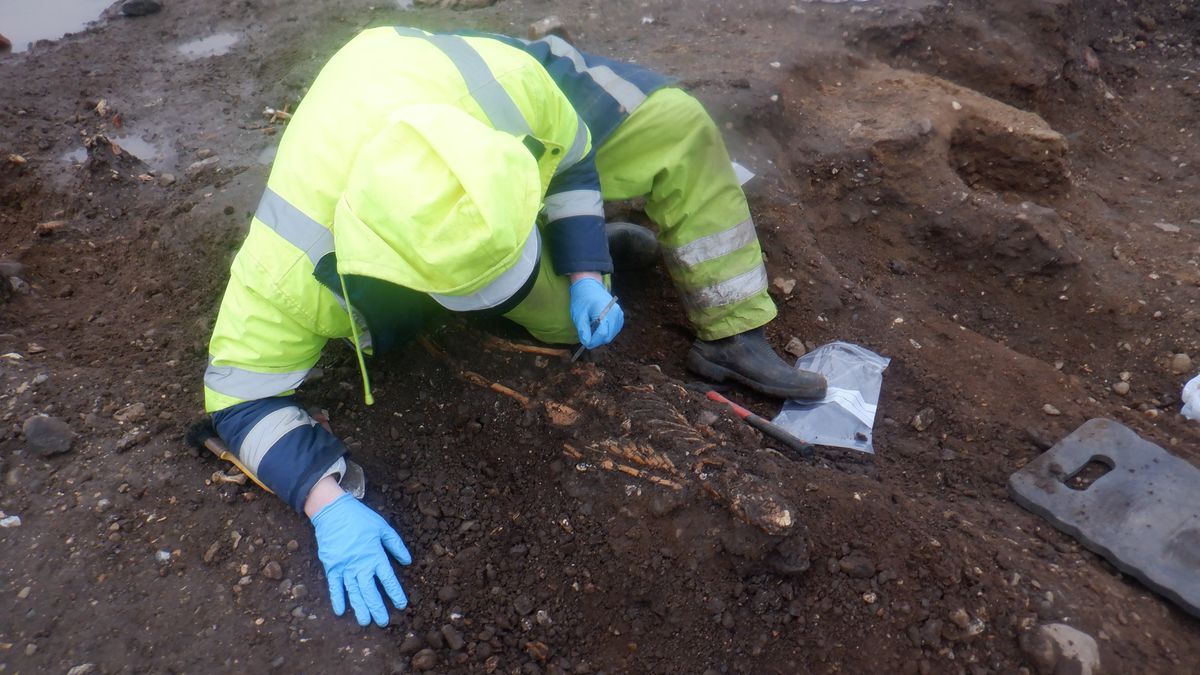 More than 140 graves found by medieval abbey in Northern Ireland ...