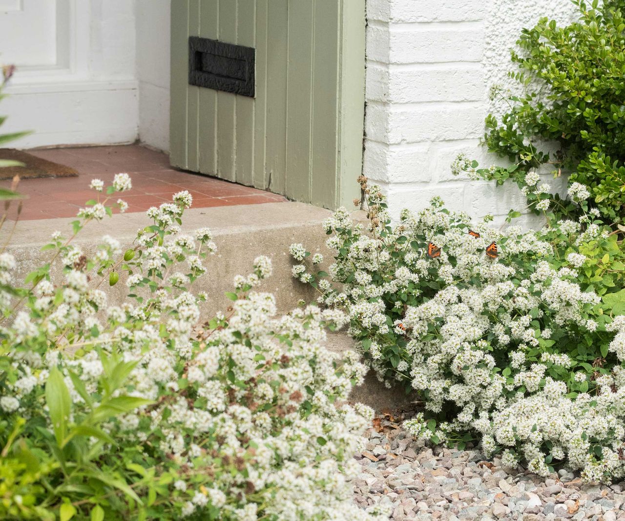 How to create a wildflower front yard: expert advice | Homes and Gardens