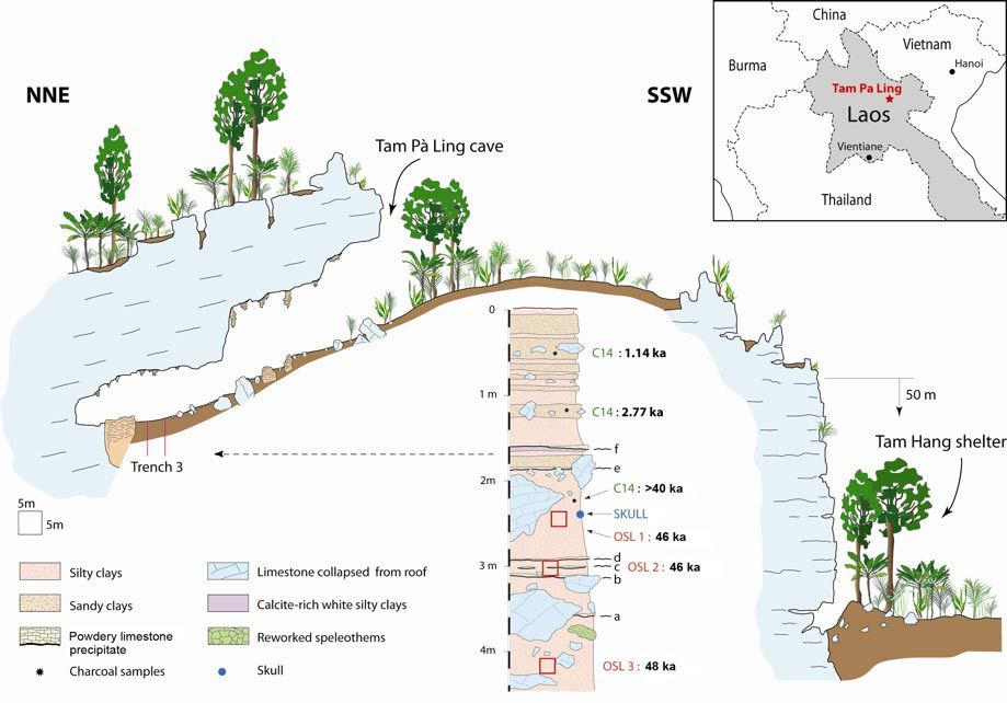 Cave of the Monkeys: Photos Reveal Early Modern Human Remains | Live ...