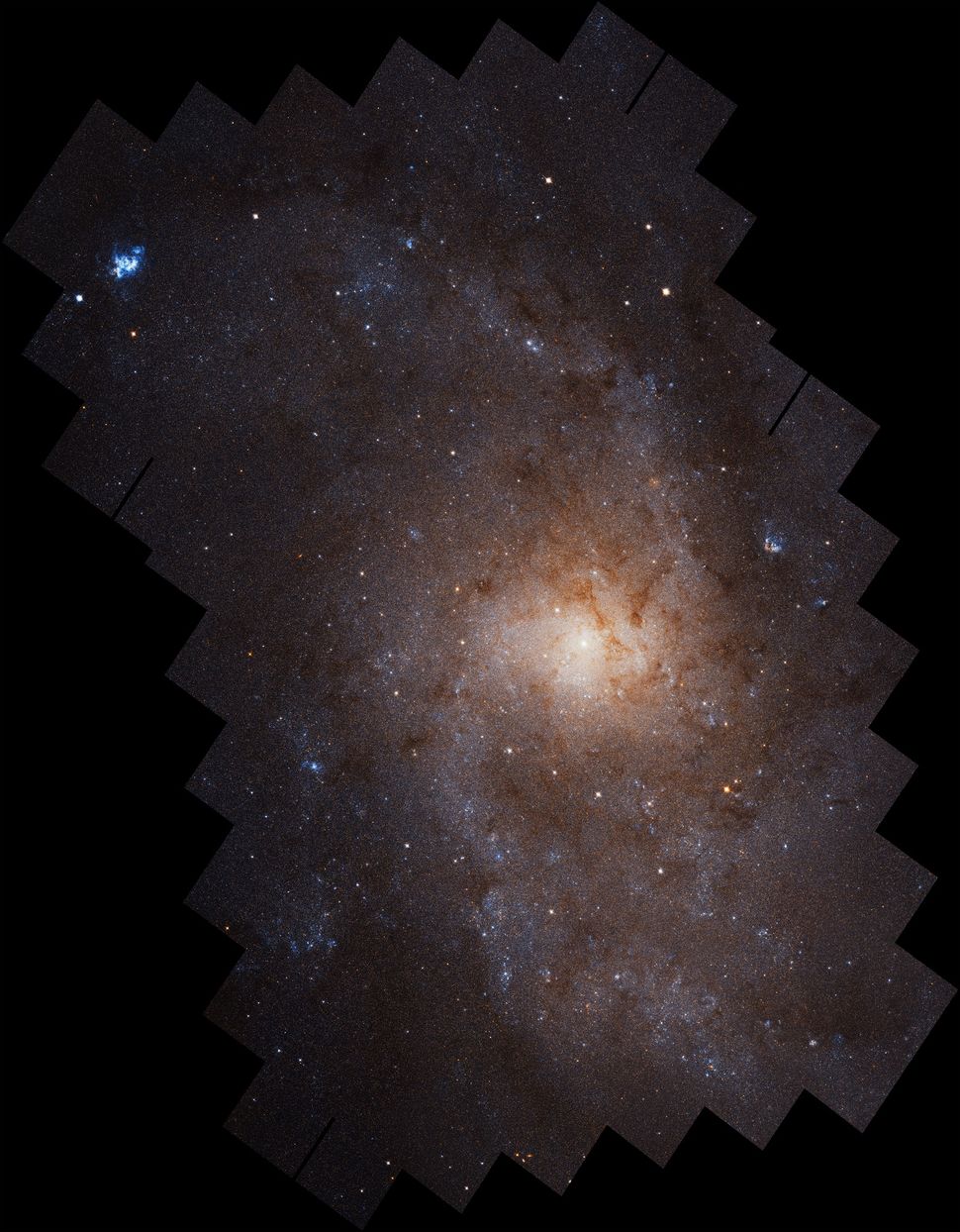 Triangulum Galaxy Reveals Stunning Stellar Symmetry in Amazing Hubble ...