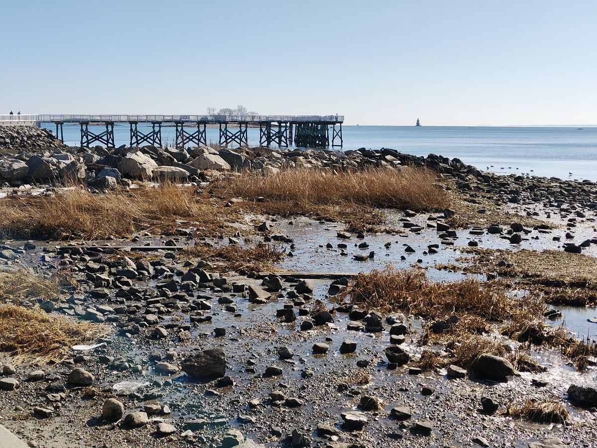 Nothing Phone 3a Pro - recension: du hittar knappast något bättre än ...