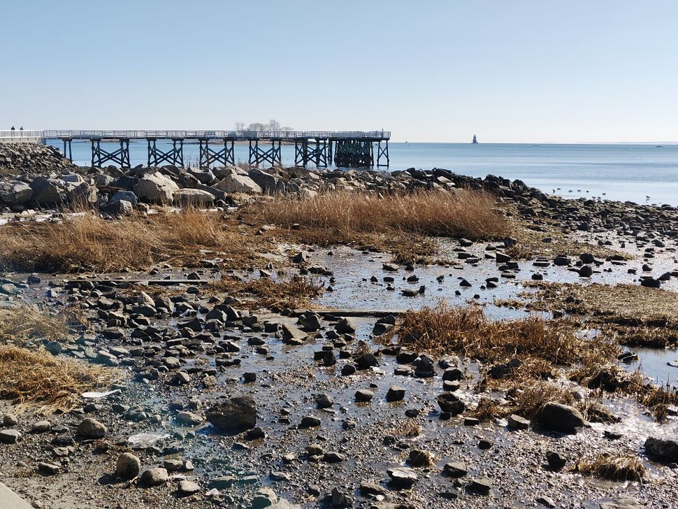 Nothing Phone 3a Pro review: you won't find much better than Nothing ...