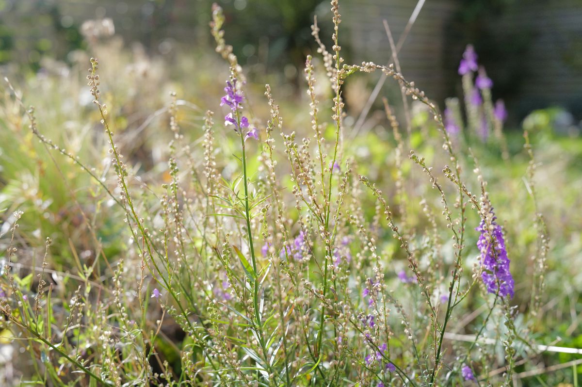 Leica Q3 43 review: a stunning premium compact with a unique focal ...