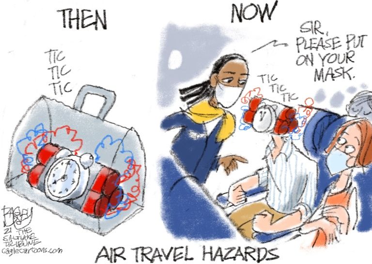 Air travel hazards | The Week
