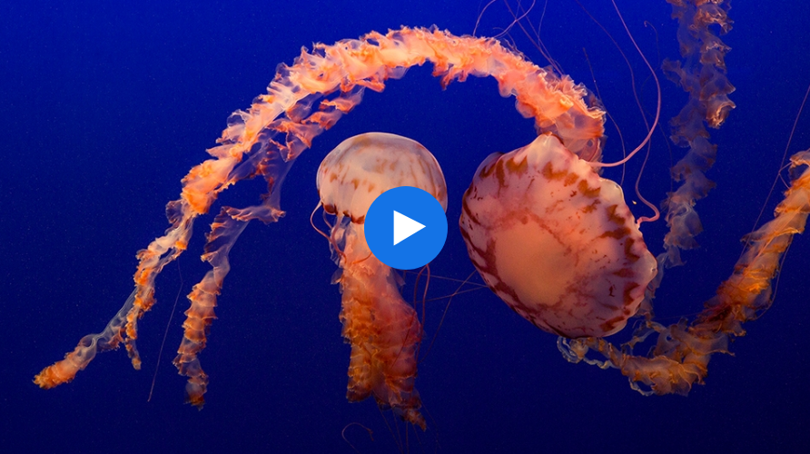 42 InDesign tutorials to boost your skills | Creative Bloq