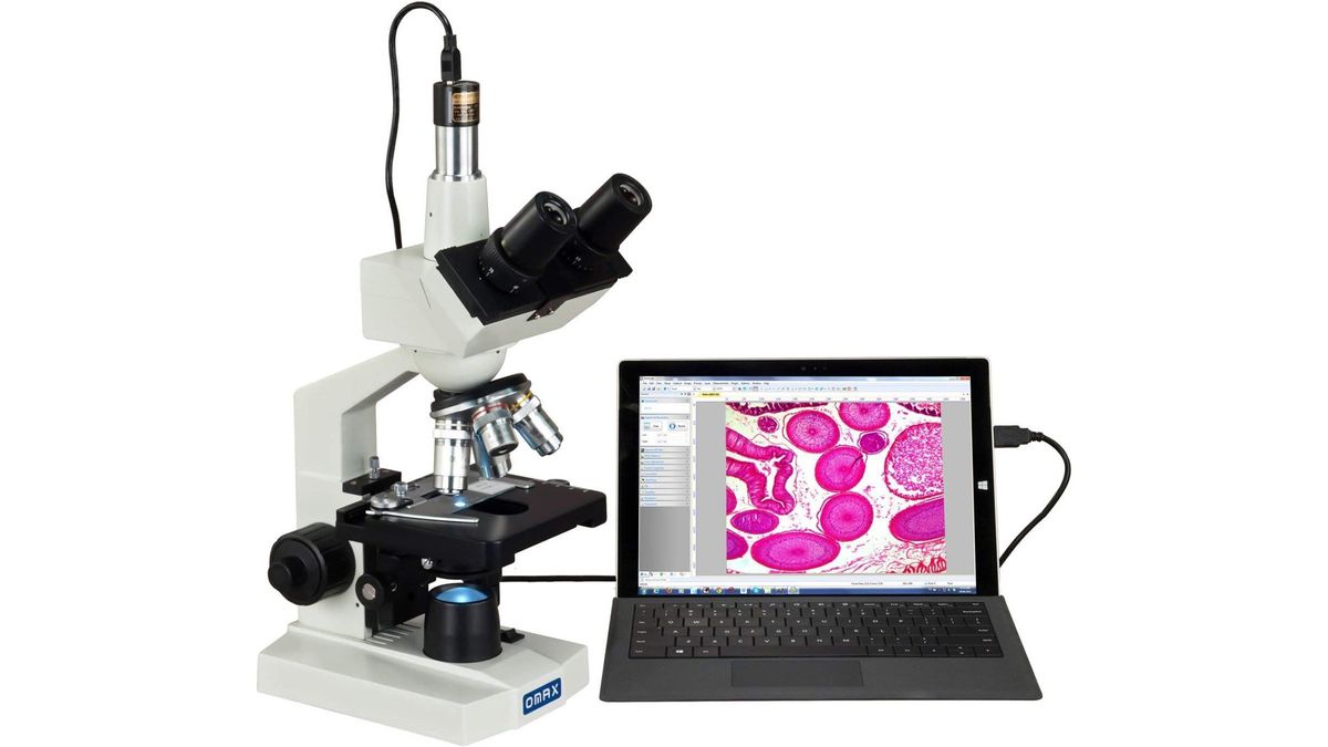 Best microscopes for students 2025 | Live Science