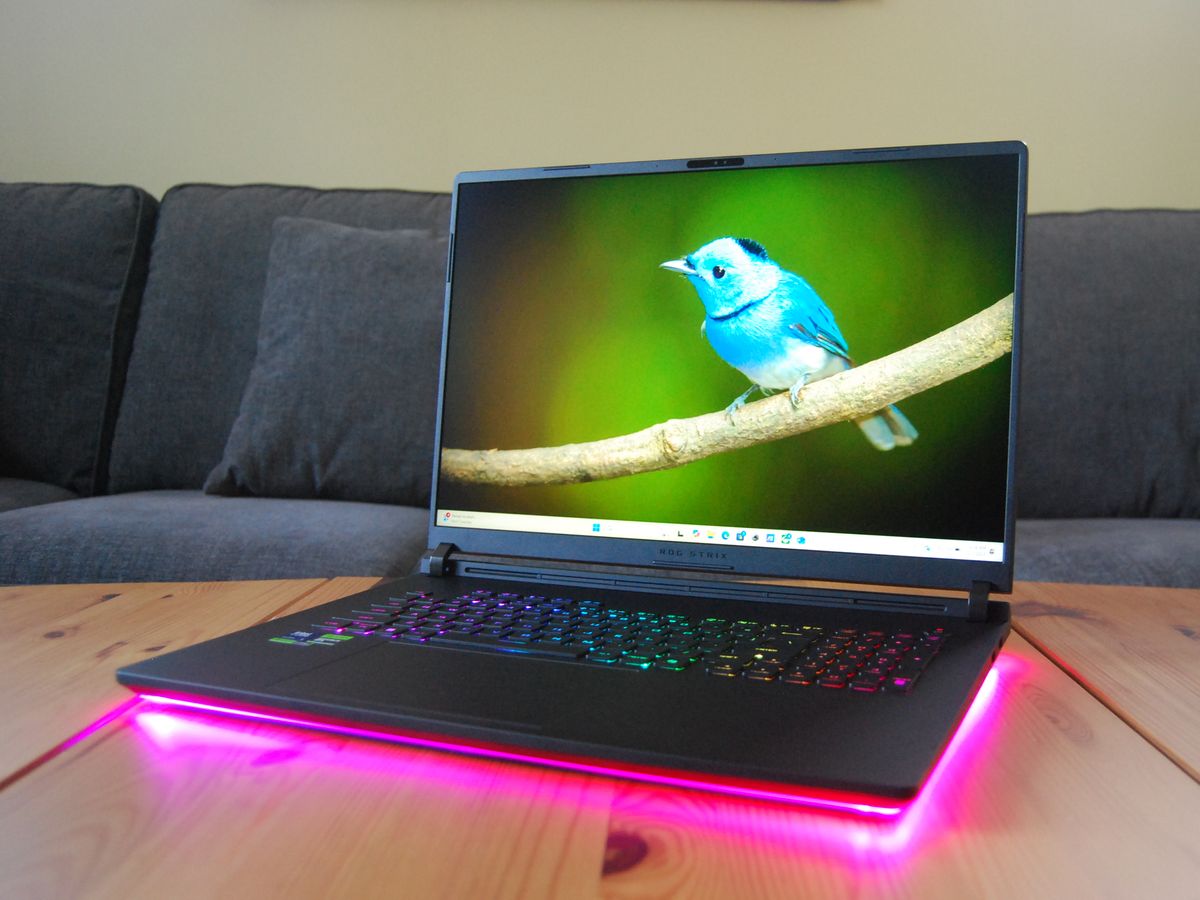 Best laptops with bright screens 2025 | Windows Central