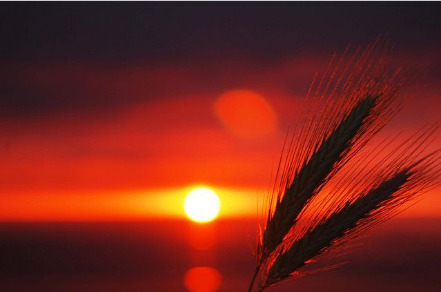 Image Gallery: Stunning Summer Solstice Photos | Live Science