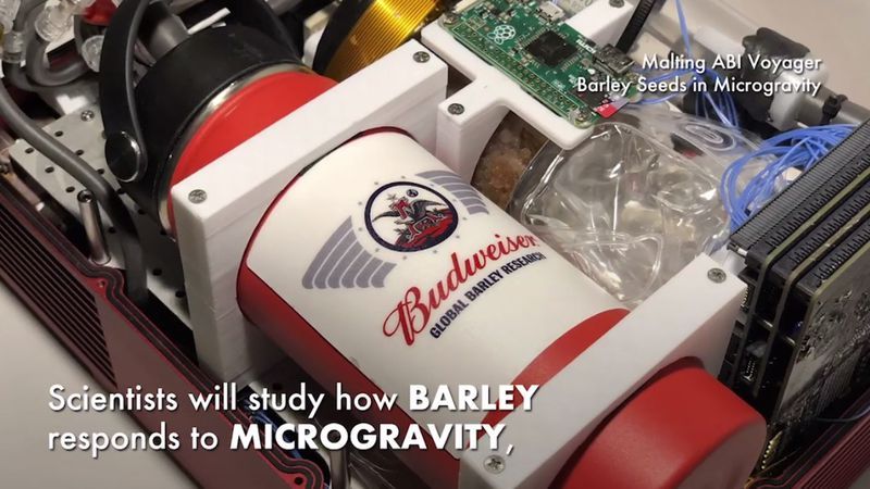 SpaceX to Launch Beer Experiment, 'Mighty Mice' and More for NASA Today ...