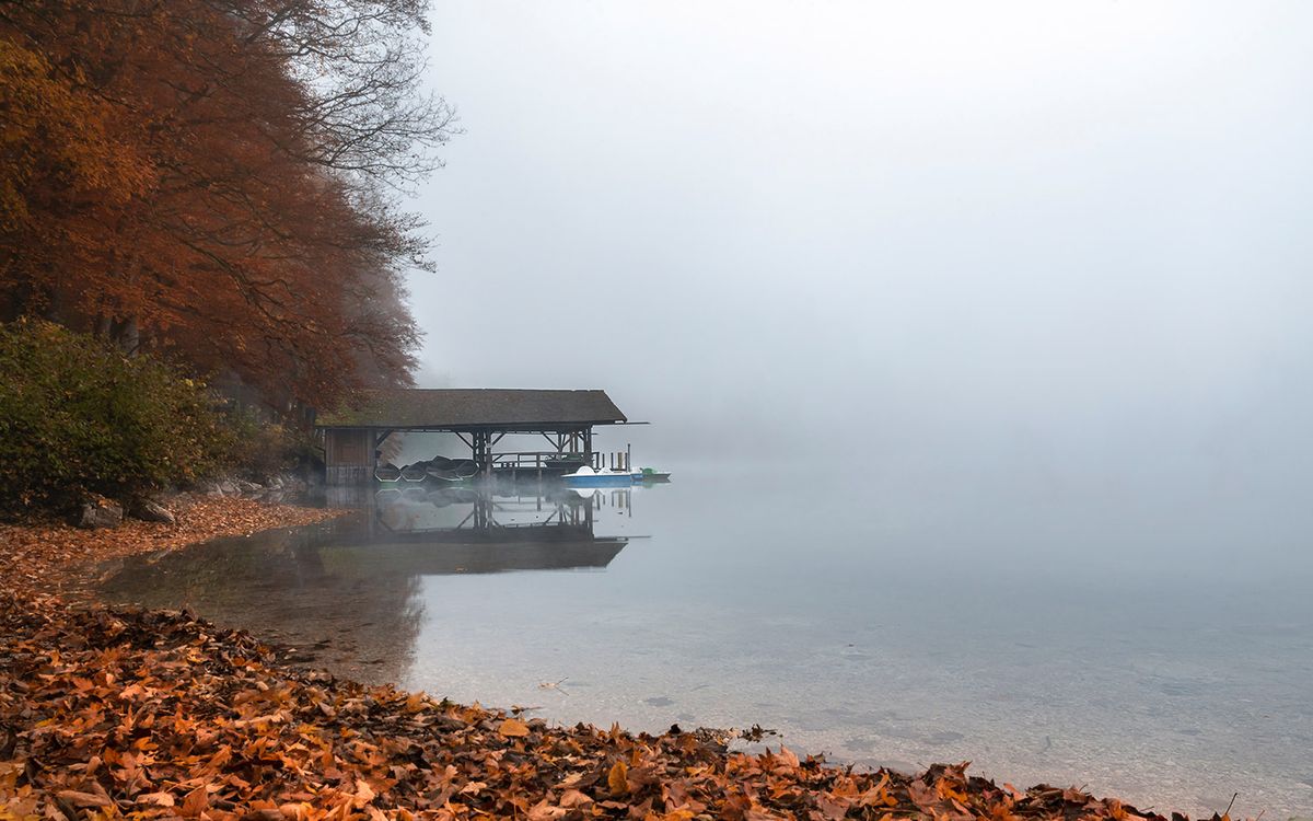 The 12 Biggest Mysteries of Fall — Solved! | Live Science