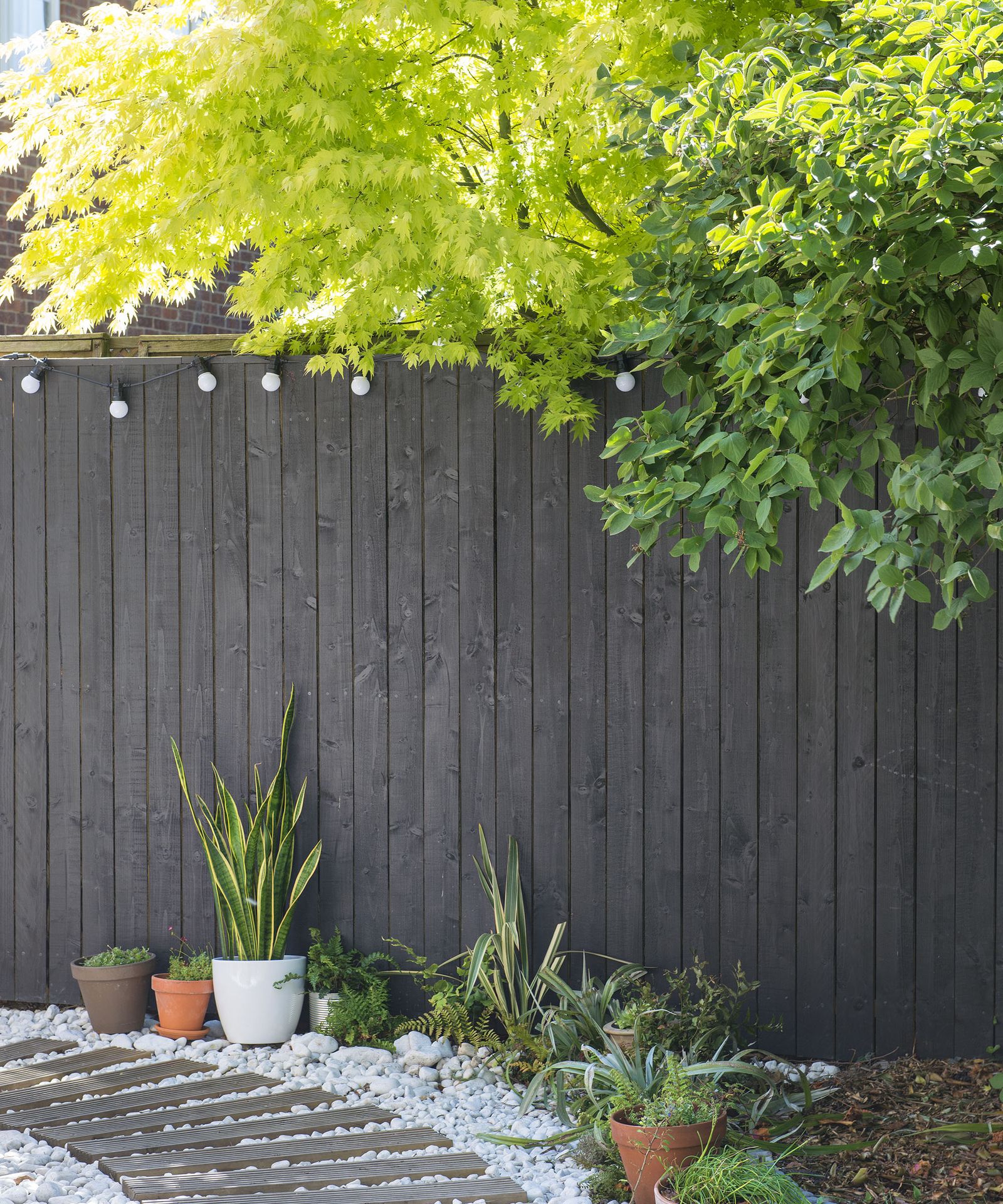 Backyard security: 7 ways to secure your yard | Gardeningetc