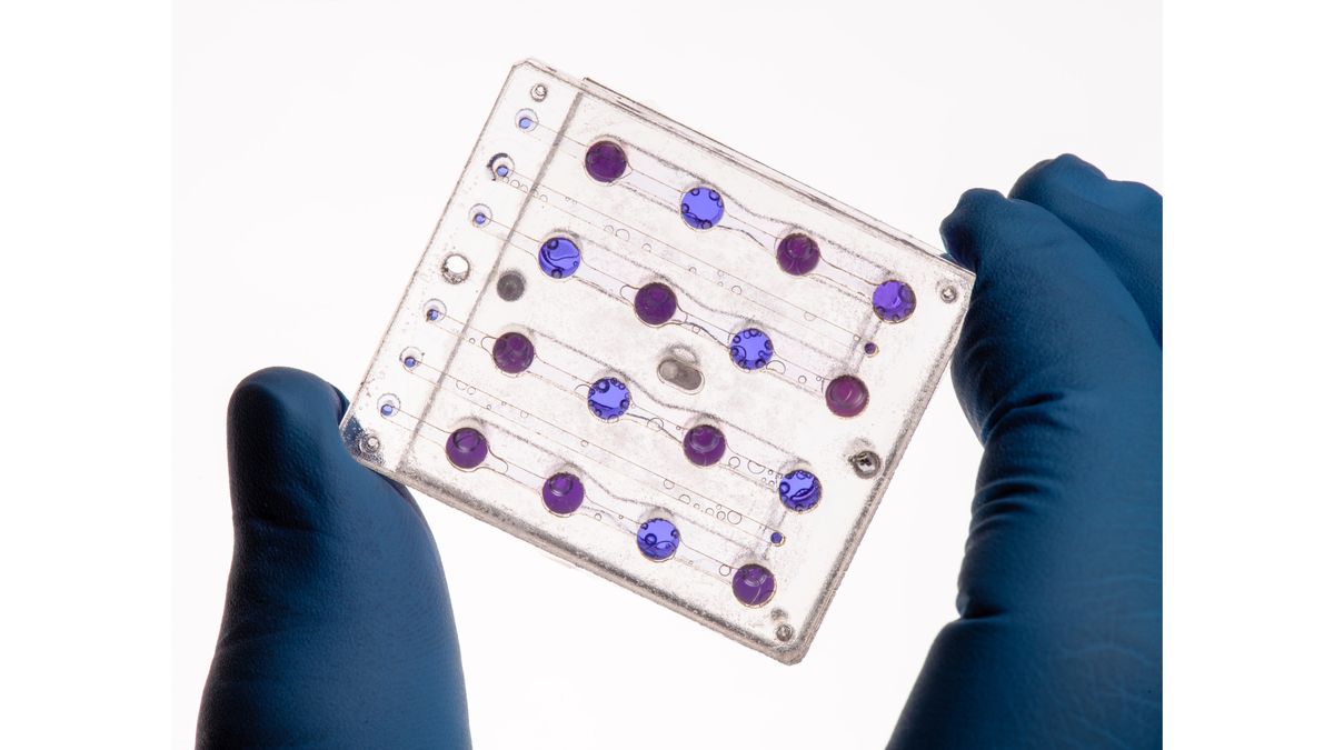 NASA's Artemis 1 moon mission will carry the world's 1st deep-space ...