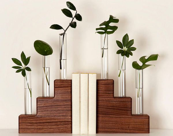 Plant Subscription Gifts For Gardeners - ‘My Garden Box’ Review ...