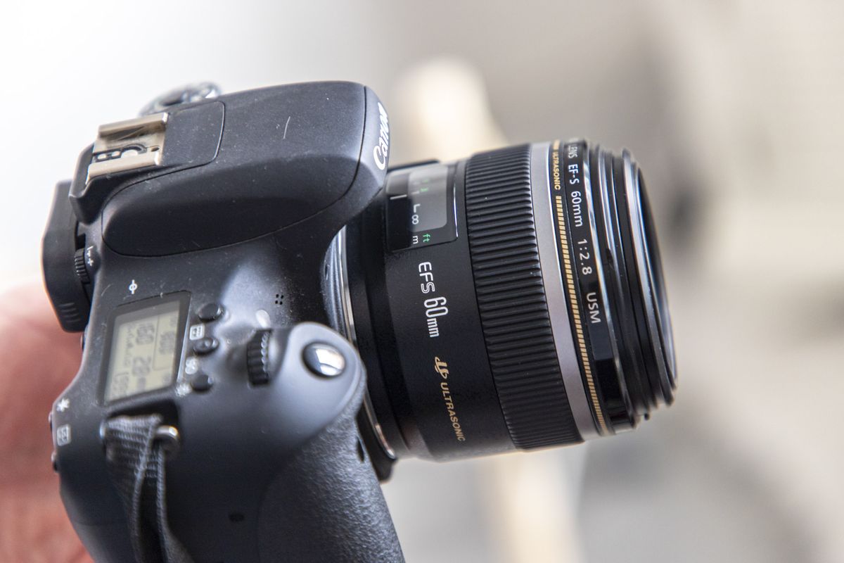 10 pro tips for perfect portraits: take beautiful family photos ...