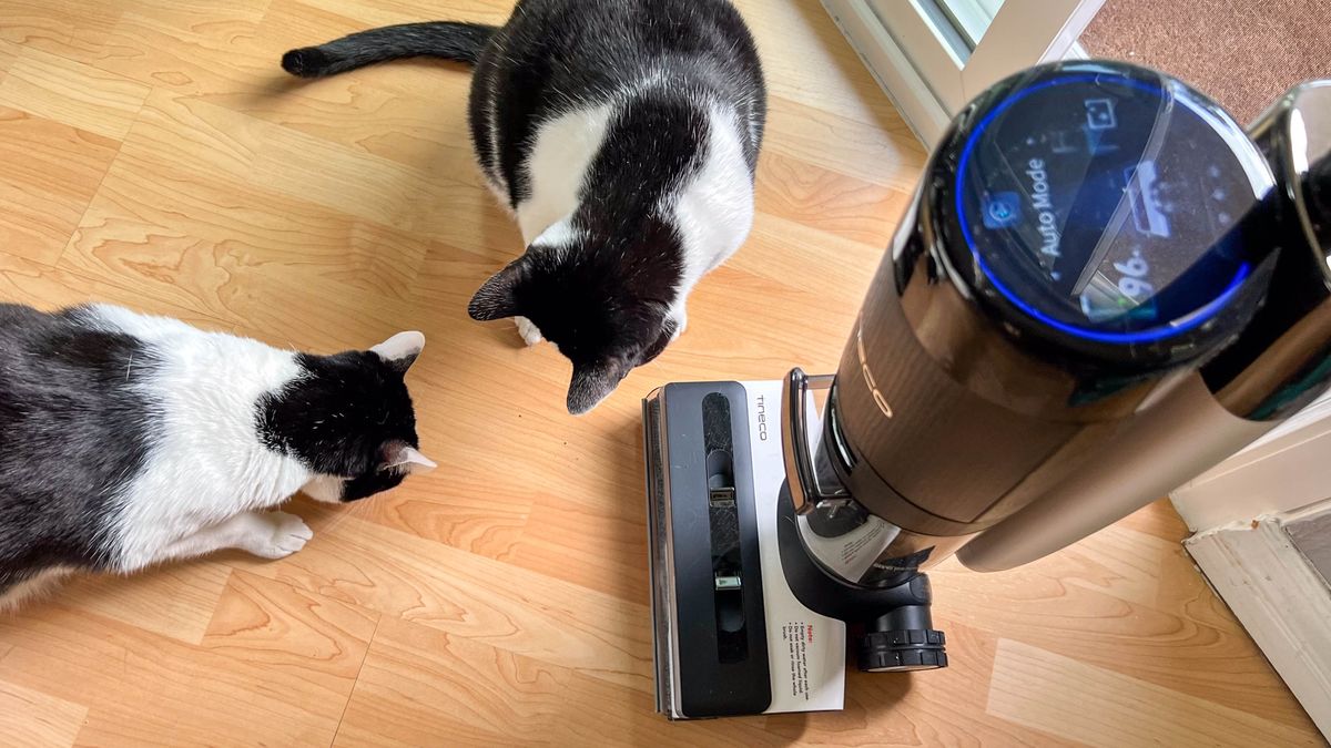 I have two cats, and this smart wet-and-dry vacuum cuts my cleaning ...