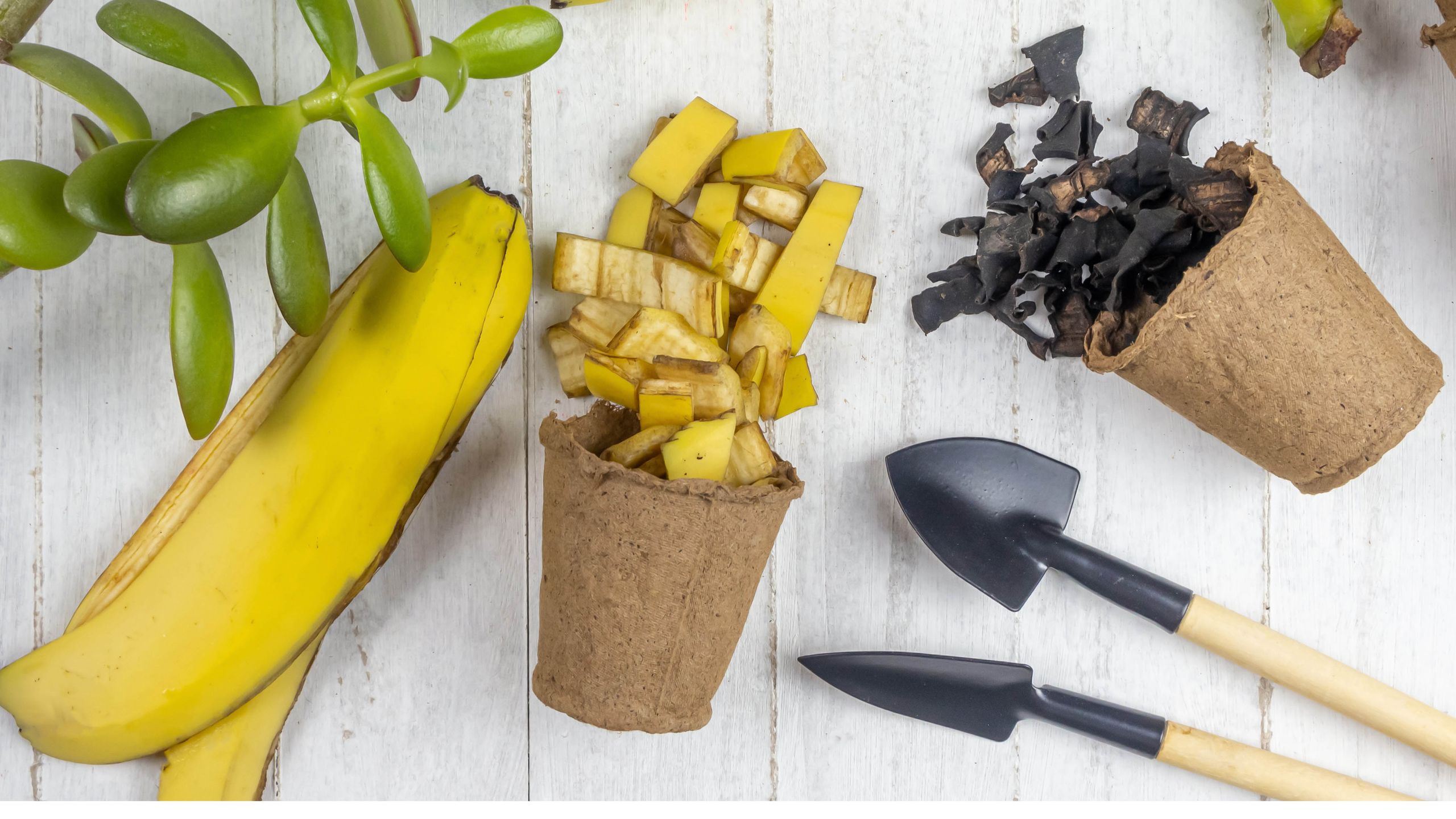 7 surprising household items to help your plants grow | Tom's Guide