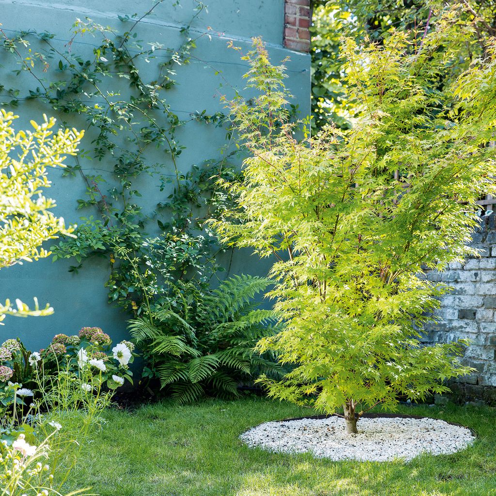 20 lawn ideas to get creative with your grassy garden | Ideal Home