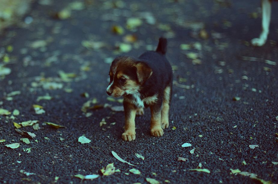 Vaccines - Page 8 | Live Science