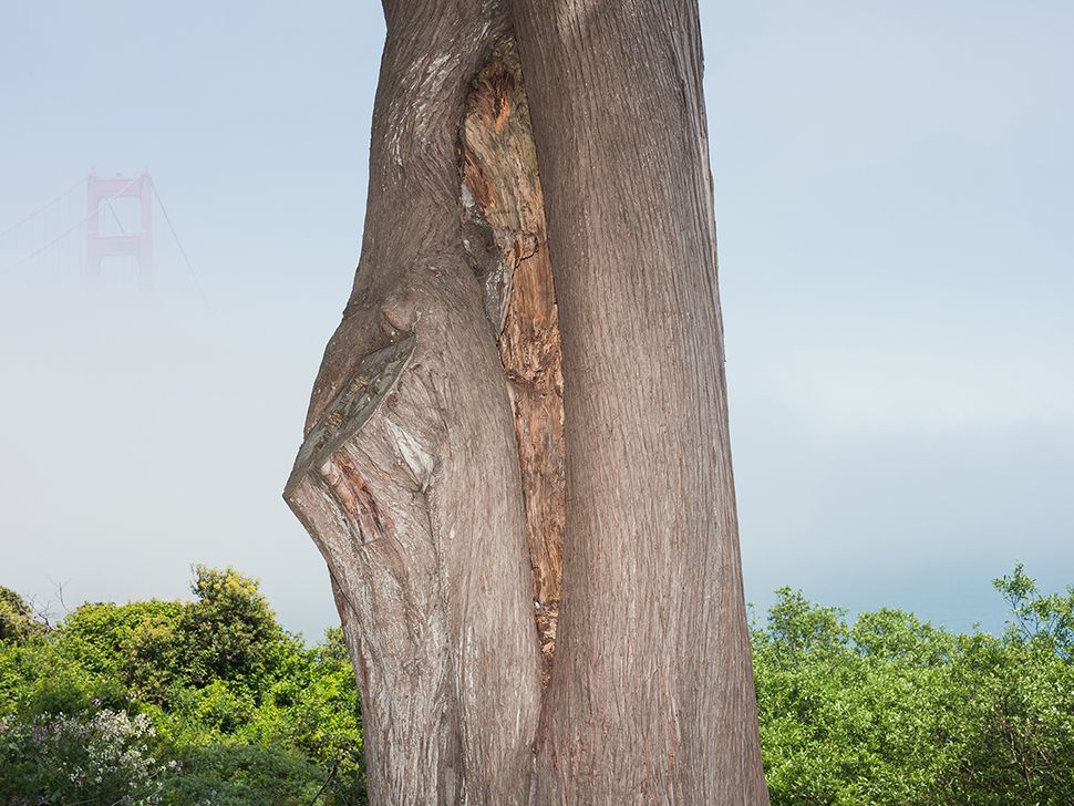 “I have to react to wherever I am and in whatever conditions, come rain ...