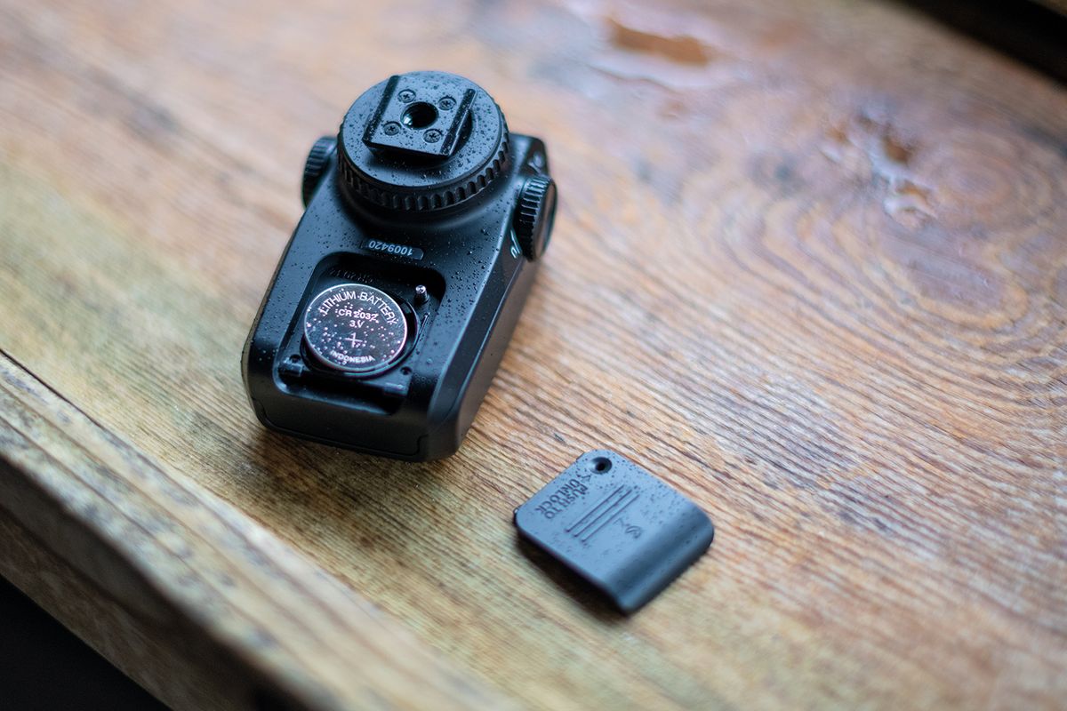 How to use the Nikon DF-M1 dot sight for bird photography | Digital ...