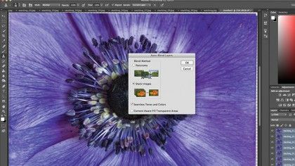 How to combine macro images for amazingly sharp photographs | TechRadar
