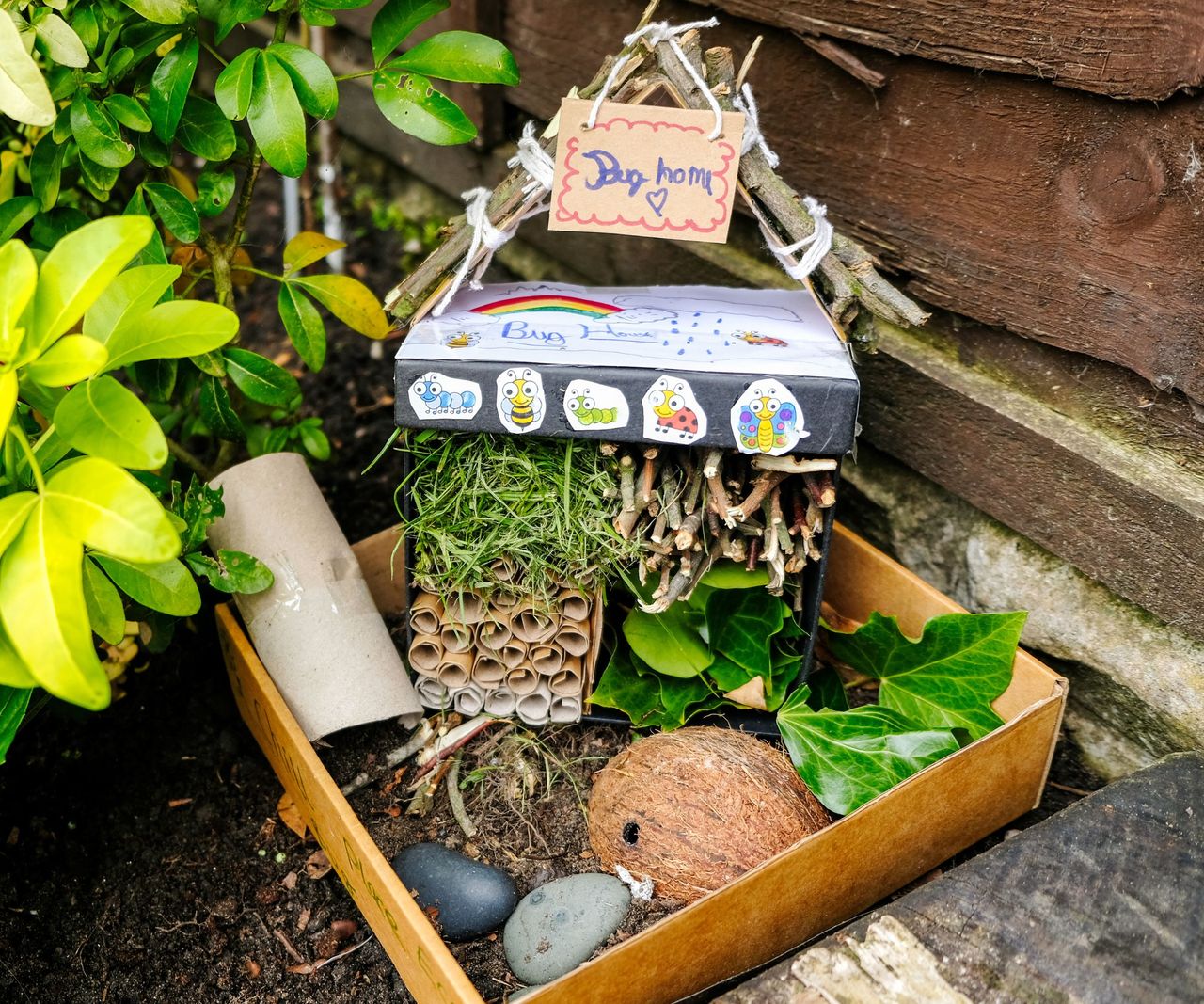 How to reuse cardboard in the garden – 6 ways to reuse delivery boxes ...