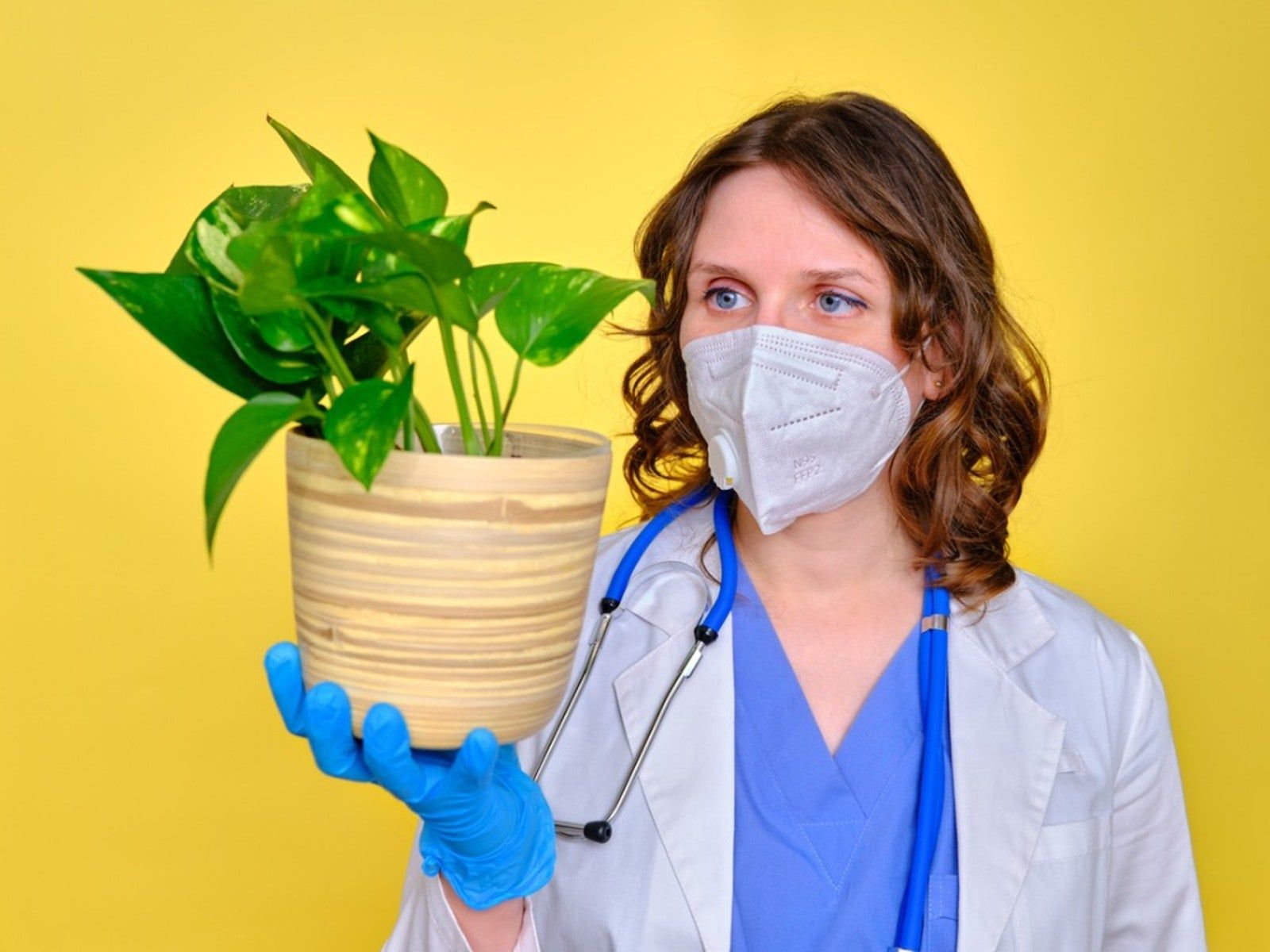 How Sick Plants Fight Off Disease | Gardening Know How