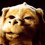 6 Unbelievably Stupid Fantasy Creatures | GamesRadar+