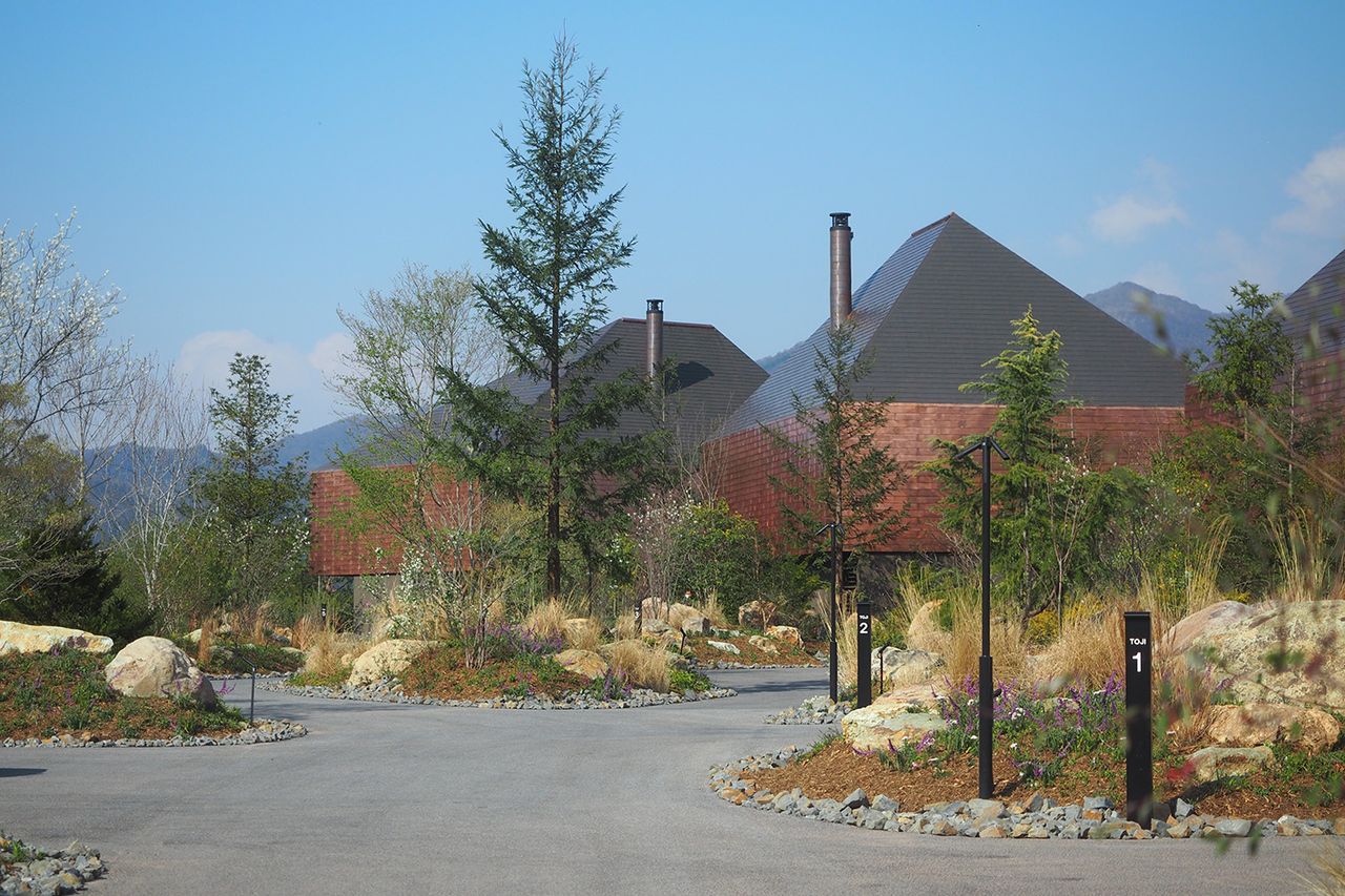 Meet Japanese landscape architect Taichi Saito | Wallpaper*