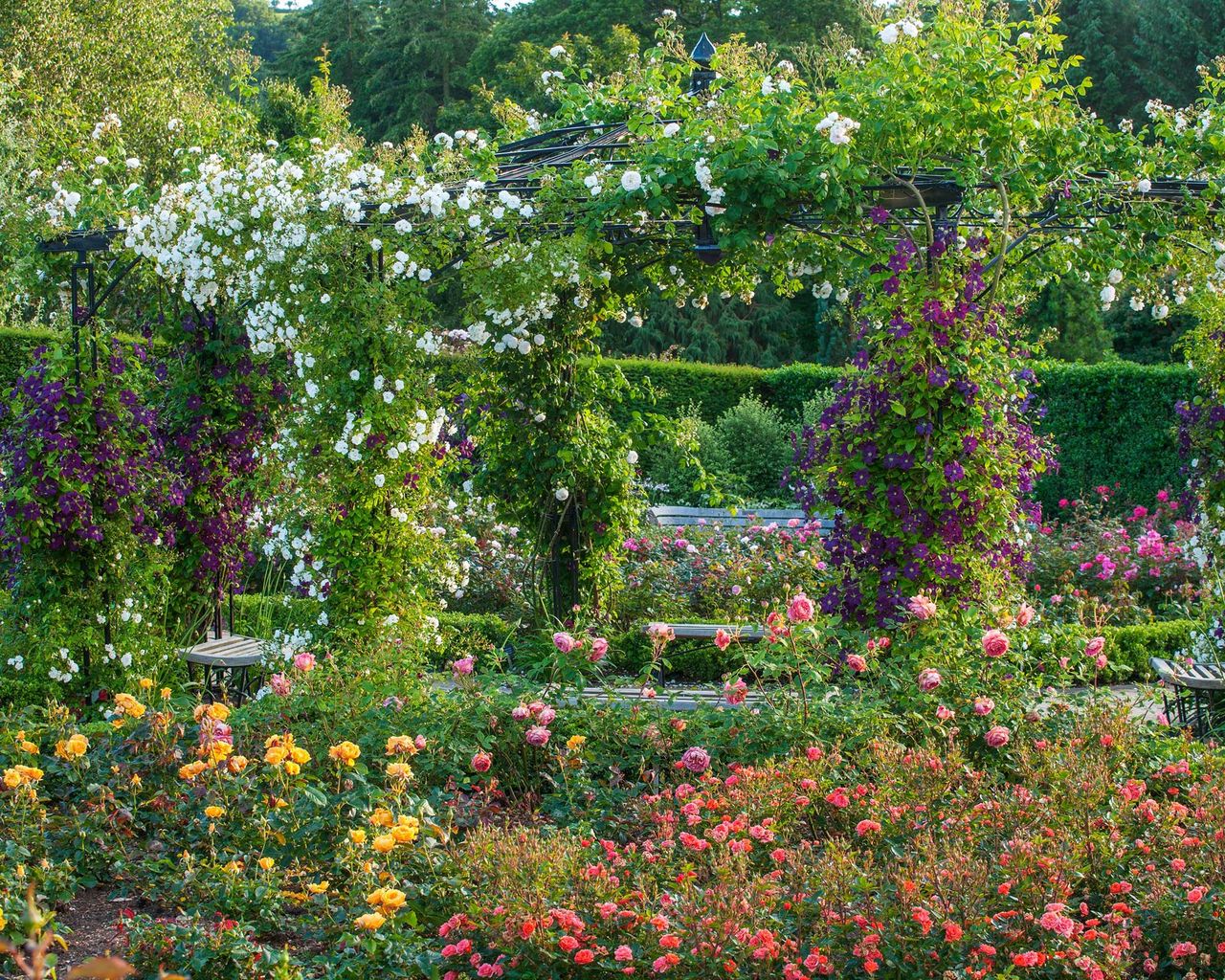 Rose garden ideas: 10 beautiful bloom-filled schemes | Gardeningetc