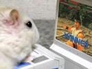 9 awesome animals playing video games | GamesRadar+