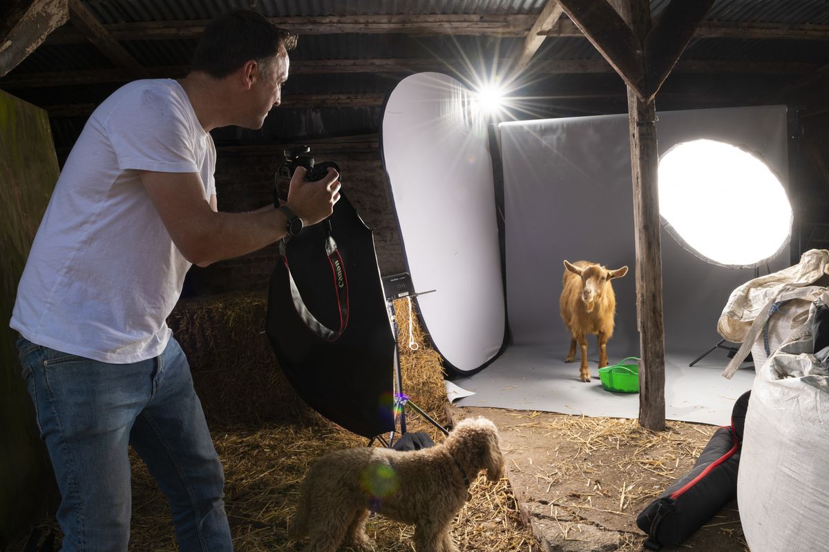 Bird-hemian rhapsody! Try a mobile studio for creative animal location ...