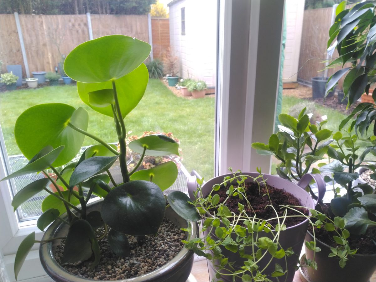 Hands on: Zebra EC55 Enterprise Mobile Computer review | TechRadar