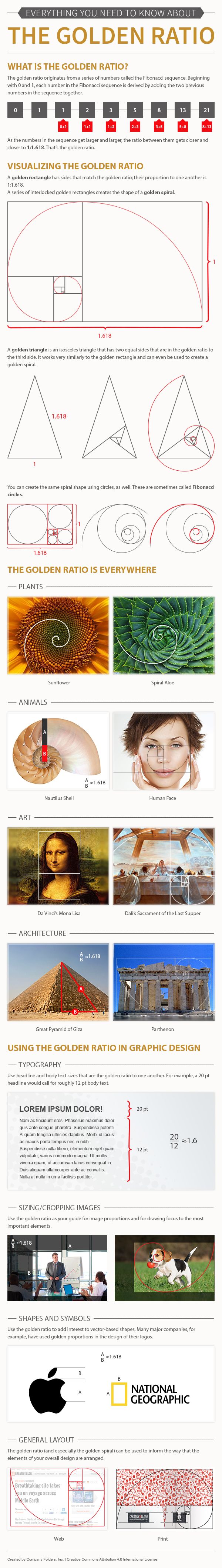 Handy infographic explores Golden Ratio rules | Creative Bloq