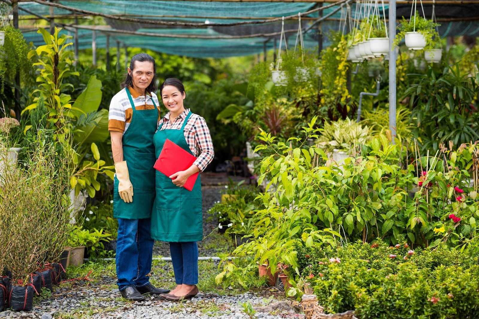 How To Choose A Reputable Nursery: Tips On Picking A Plant Nursery ...