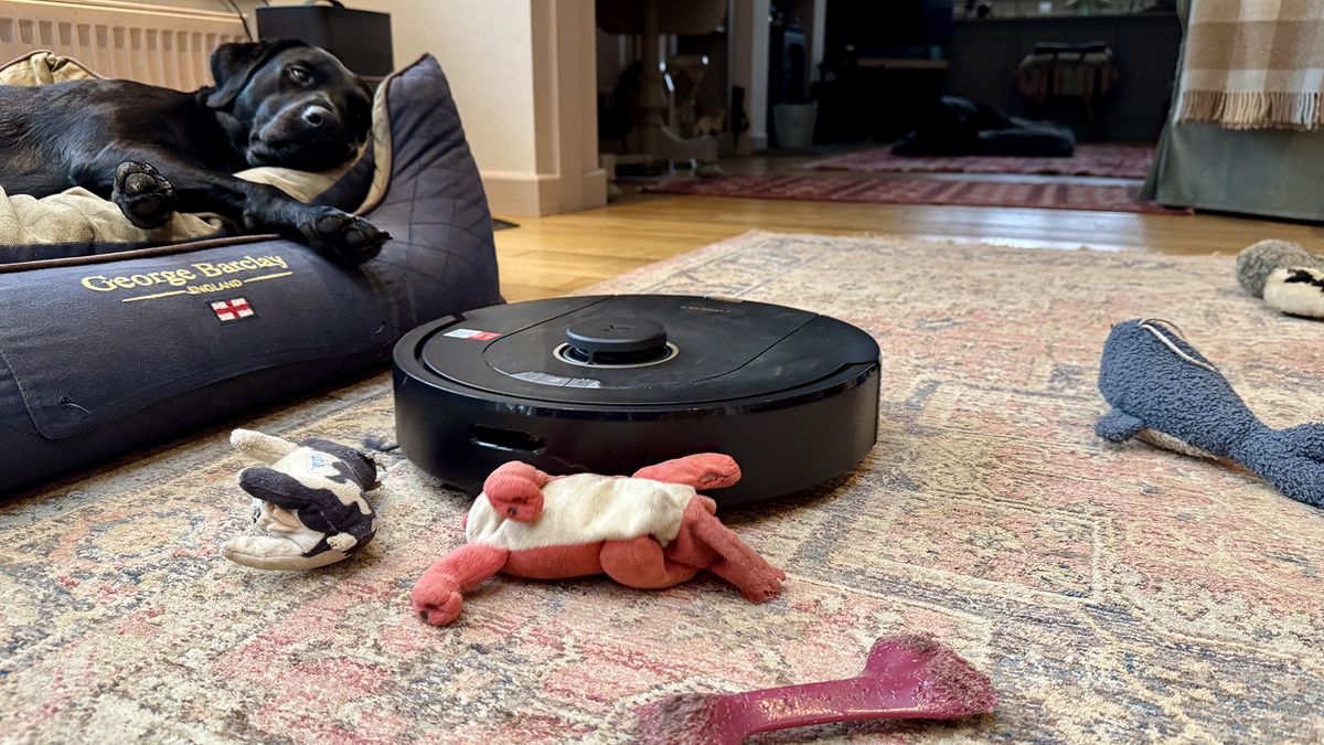 The best robot vacuum for pet hair 2025: reviewed by experts | TechRadar