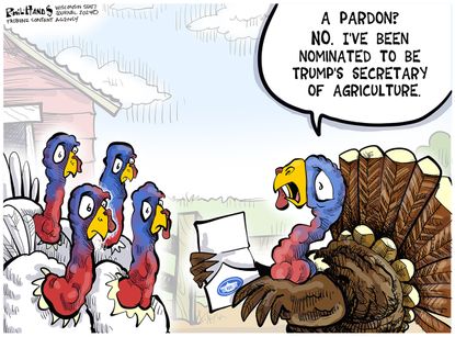 5 deliciously funny cartoons about turkeys | The Week