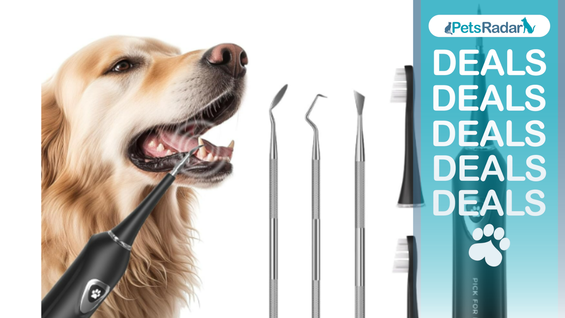 Bag these pet toothbrushes in the 2024 Amazon Prime Day sale | PetsRadar