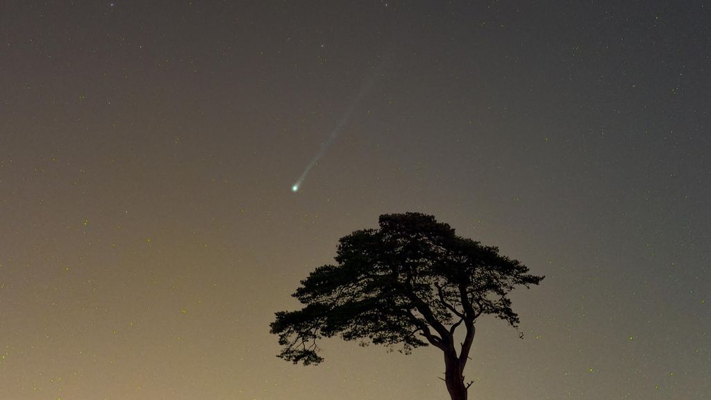 Amazing photos of 'horned' comet 12P/Pons-Brooks from around the world ...