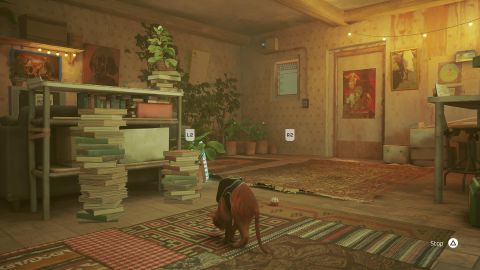 Stray review: "A phenomenal and compact adventure" | GamesRadar+